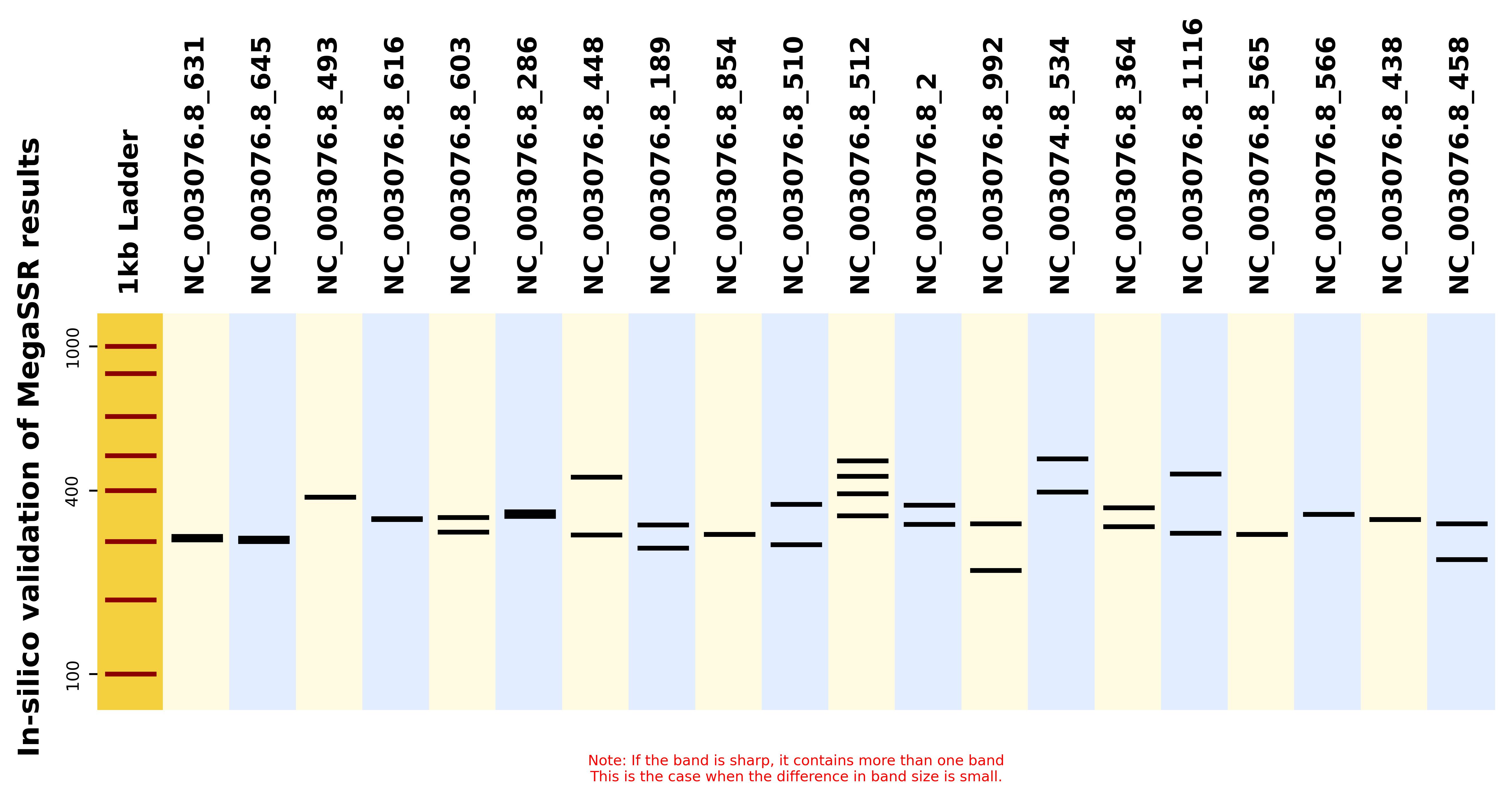 MegaSSR: A webserver for large scale SSR identification, classification ...