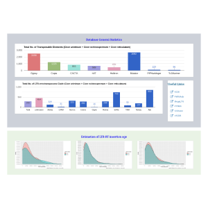 MegaSSR: A webserver for large scale SSR identification, classification, and marker development
