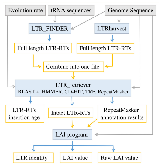 MegaSSR: A webserver for large scale SSR identification, classification, and marker development